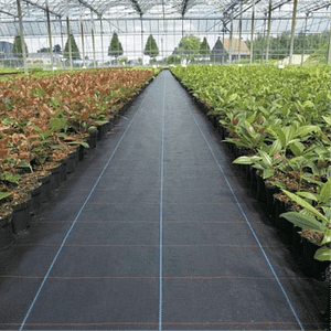 Using Ground Cover to Protect Soil